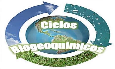 Ciclos Biogeoquímicos Saiba O Que São E Como Eles Influenciam A Vida