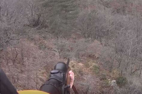 Triplé De Sanglier Dans Les Cévennes