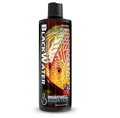 Guide To Setting Up Your Blackwater Aquarium Easy Tips And Tricks
