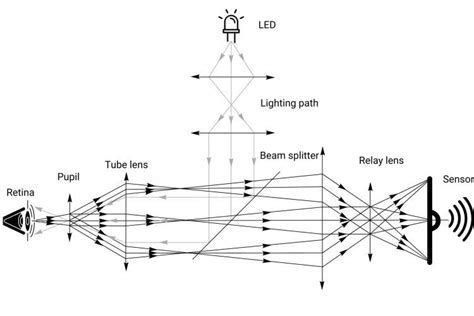 Optical Coherence Tomography Oct Avantier Inc