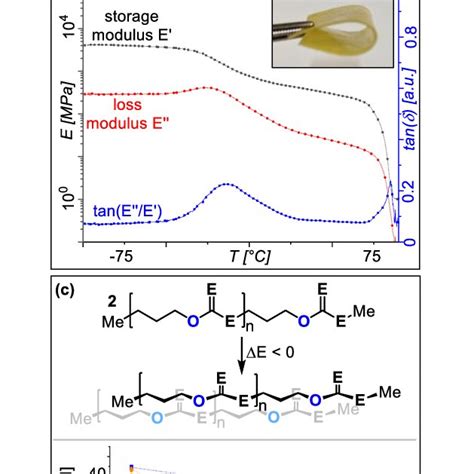 A Dsc Curve Of The 2 Nd Heating Cycle For Polymer Corresponding To Download Scientific