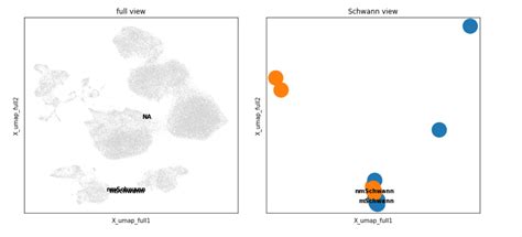 Adding The Option To Determine Dot Size According To Number Of Cells In
