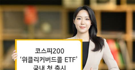 Kb자산운용 국내지수 활용 위클리커버드콜 Etf 국내 첫 출시