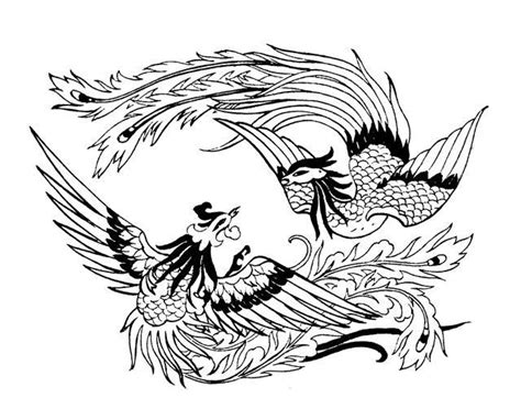 最漂亮的6种鸟，我喜欢第5种，你喜欢哪一种？