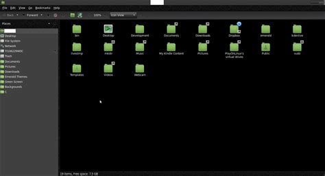 Linux Mint Why Do Programs Run With Sudo Not Have System Theme