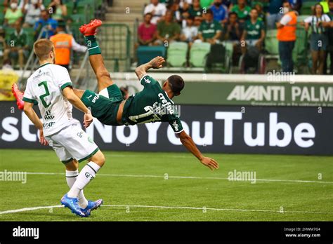 SP Sao Paulo 03 06 2022 PAULISTA 2022 PALMEIRAS X GUARANI