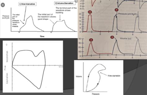 Check Offs Identifying Waveforms Flashcards Quizlet