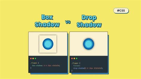 Perbedaan Antara Box Shadow Dan Drop Shadow Dalam Css Untuk Efek Bayangan🌟 — Minarsih Tech