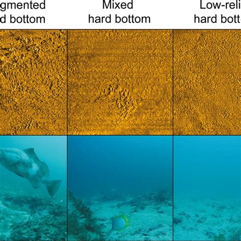 Representative Imagery From Side‐scan Sonar Upper Panels And Download Scientific Diagram