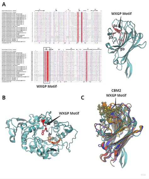 Sequence And Structure Similarity Search Analysis Over Carbohydrate Download Scientific Diagram