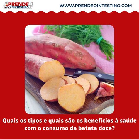 Quais Os Tipos E Quais São Os Benefícios à Saúde Com O Consumo Da