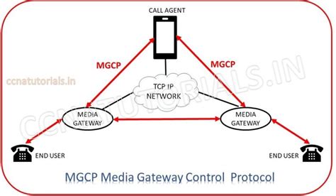 mgcp media gateway control protocol explained ccna tutorials