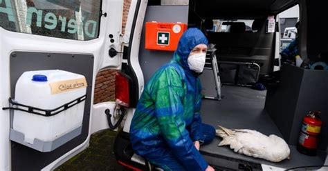 Partij Voor De Dieren Schriftelijke Vragen Aanpak Vogelgriep In Drenthe