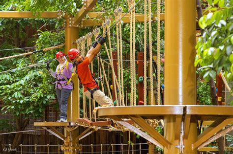 Treetop Adventure Petaling Jata Ticket Klook