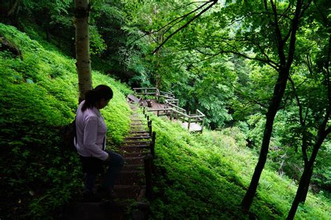 Ginga And Ryusei Falls Hokkaidos Married Couple Waterfalls