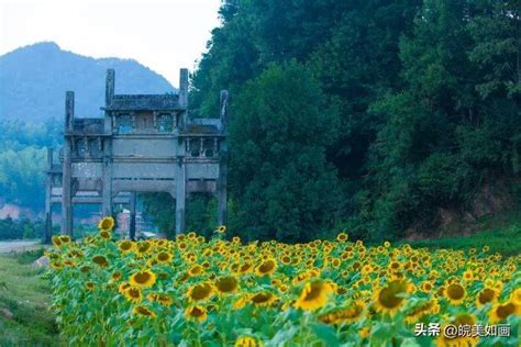 安徽旅游必去十大景点 9月安徽最值得去的10个地方 We生活