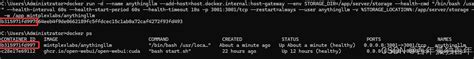 使用docker安装anythingllm，并基于deepseek构建自己的本地知识库问答大模型，可局域网内多用户访问、离线运行docker