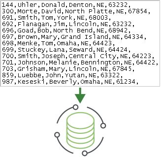 Delimited Text Csv Files Goanywhere Mft