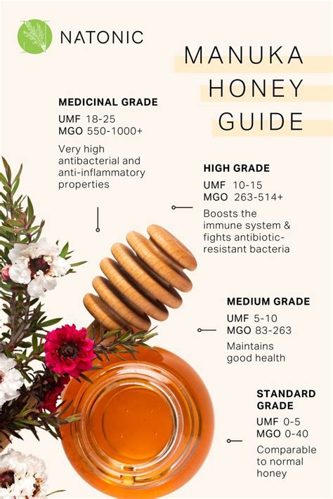 Manuka Honey Guide In 2023 Manuka Honey Benefits Honey Health