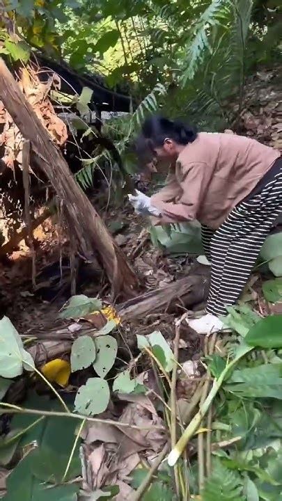 没有因为懂事过得更好，但因为懂事看开很多事！或许我们都有无法言说的遗憾，它藏在眼泪里！落在岁月里，输在倔强里，最后消失在人海 ！所以路是自己