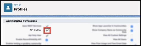 Admins How Do I Enable API Access In Salesforce