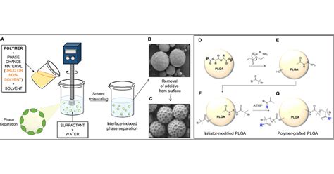 Polymer Microparticles With Defined Surface Chemistry And Topography