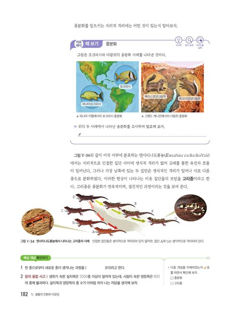 미래엔 엠티처