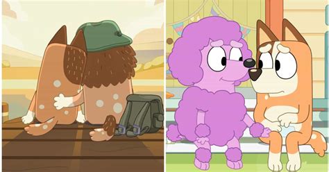 The 15 Saddest Bluey Episodes Ranked By Viewers