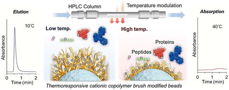 Temperature Modulated Interactions Between Thermoresponsive Strong Cationic Copolymer Brush