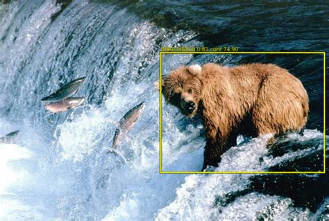 Pierre Sermanet Homepage