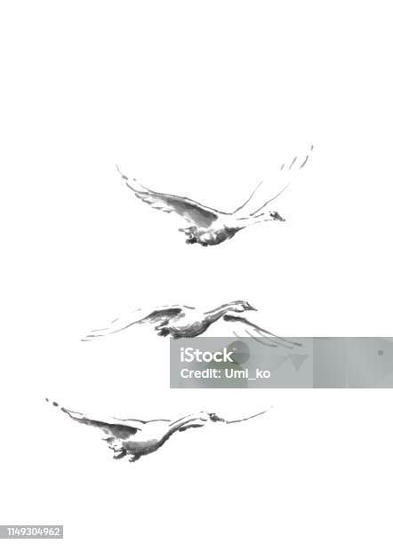 3 개의 날고 있는 백조 일본 풍 오리지날 스미 잉크 도장 백조에 대한 스톡 벡터 아트 및 기타 이미지 백조 날기 새
