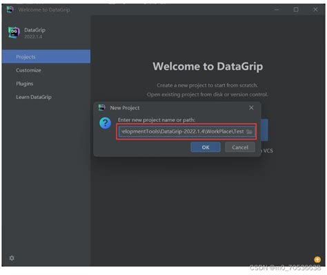 Datagrip Csdn