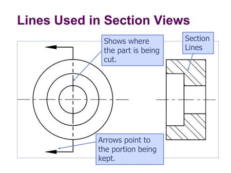 Types Of Sectioning Pptx