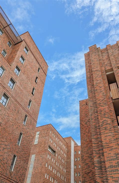 Anwesha Ghosh On Linkedin My Experience At Ashoka University First