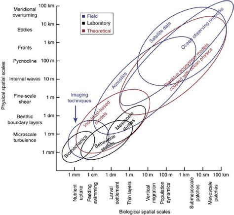 Plot Showing Field Blue Laboratory Black And Theoretical Red Download Scientific