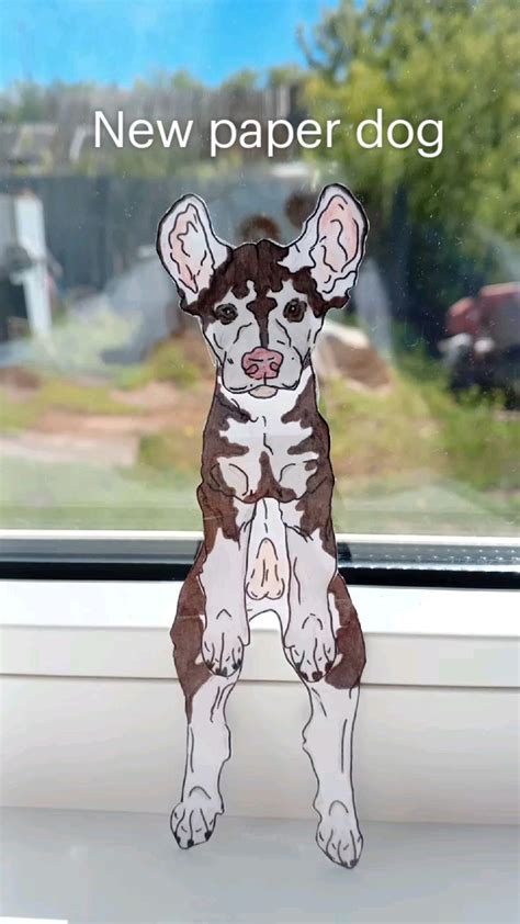 Новая бумажная собака Это Чери💓 в 2024 г Собаки Бумажные животные Животные