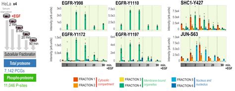 Spatial Proteomics Mapping Cell Signalling Pathways At Sub Cellular Resolution NAPI