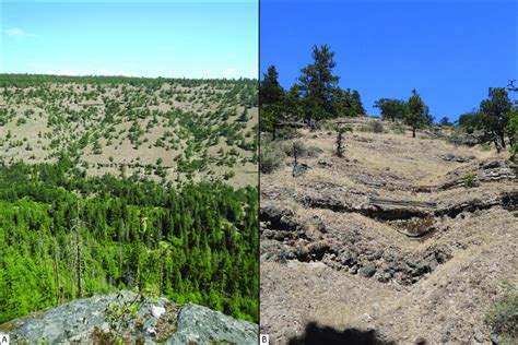 Examples Of Typical Dalles Formation Tmdl Outcrops Image On Download Scientific Diagram