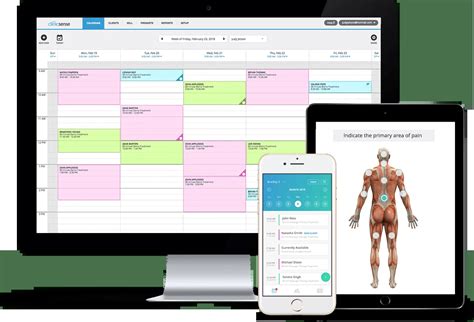 Massage Therapy Software Clinicsense