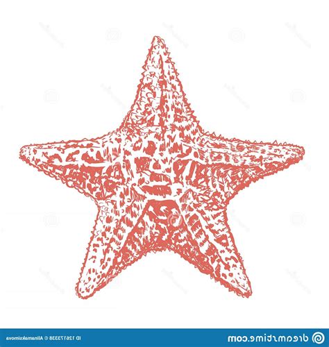 12174 Sketch Drawing Vector Images At