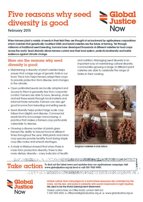 Five Reasons Why Seed Diversity Is Good Global Justice Now Global Justice Now