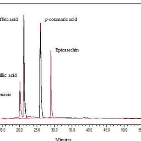 Obtained Hplc Chromatogram Of Mixture Of Standard Phenolic Acids At 280