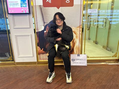 폼피츠 토마 프렌치불독크기 빠삐용크기 파피용크기 사모예드크기 스피츠크기 시바견크기 시베리안허스키크기 시츄크기 요크셔테리어크기 웰시코기크기 이탈리아그레이하운드크기 치와와크기