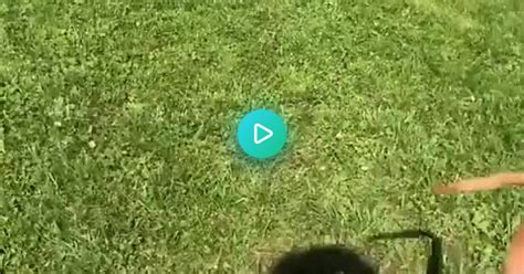 Tippy Tap Album On Imgur