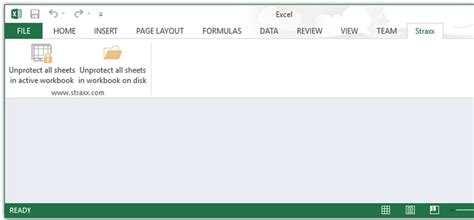 I Forgot My Excel 2007 Sheet Protection Password Journal Radies