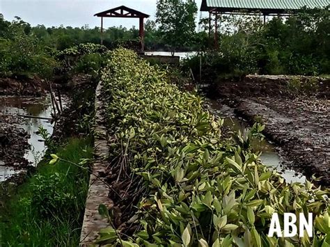 ဒေသခံ ကျေးရွာ ၁၄ရွာက ထိန်းသိမ်းစောင့်ရှောက်ထားရသည့် ဝန်ဗိုက်ဒီရေ သစ