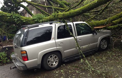 Tree Narrowly Misses House Portland Radio Project