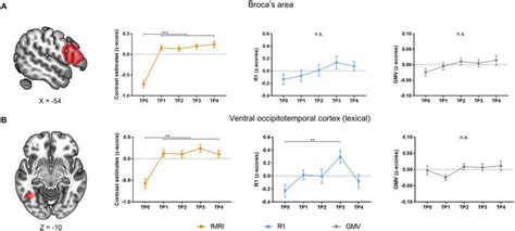 Time Course Of Functional And Structural Brain Reorganization During
