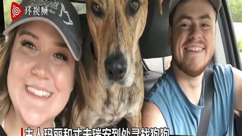 美国一狗狗被烟花吓到失踪7小时 凌晨2点半自己按门铃回家社会奇闻轶事好看视频