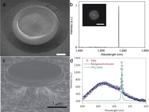Microdisk Lasers Based On Layered Materials A Sem Image Of Disk Laser